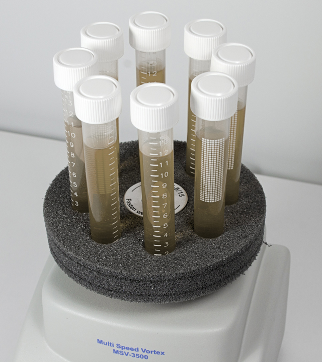 Multi Speed Vortex for soft or intensive mixing of reagents- MSV-3500
